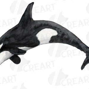 Orca Family Watercolor Clip Art Pack, Killer Whales Decoration ...