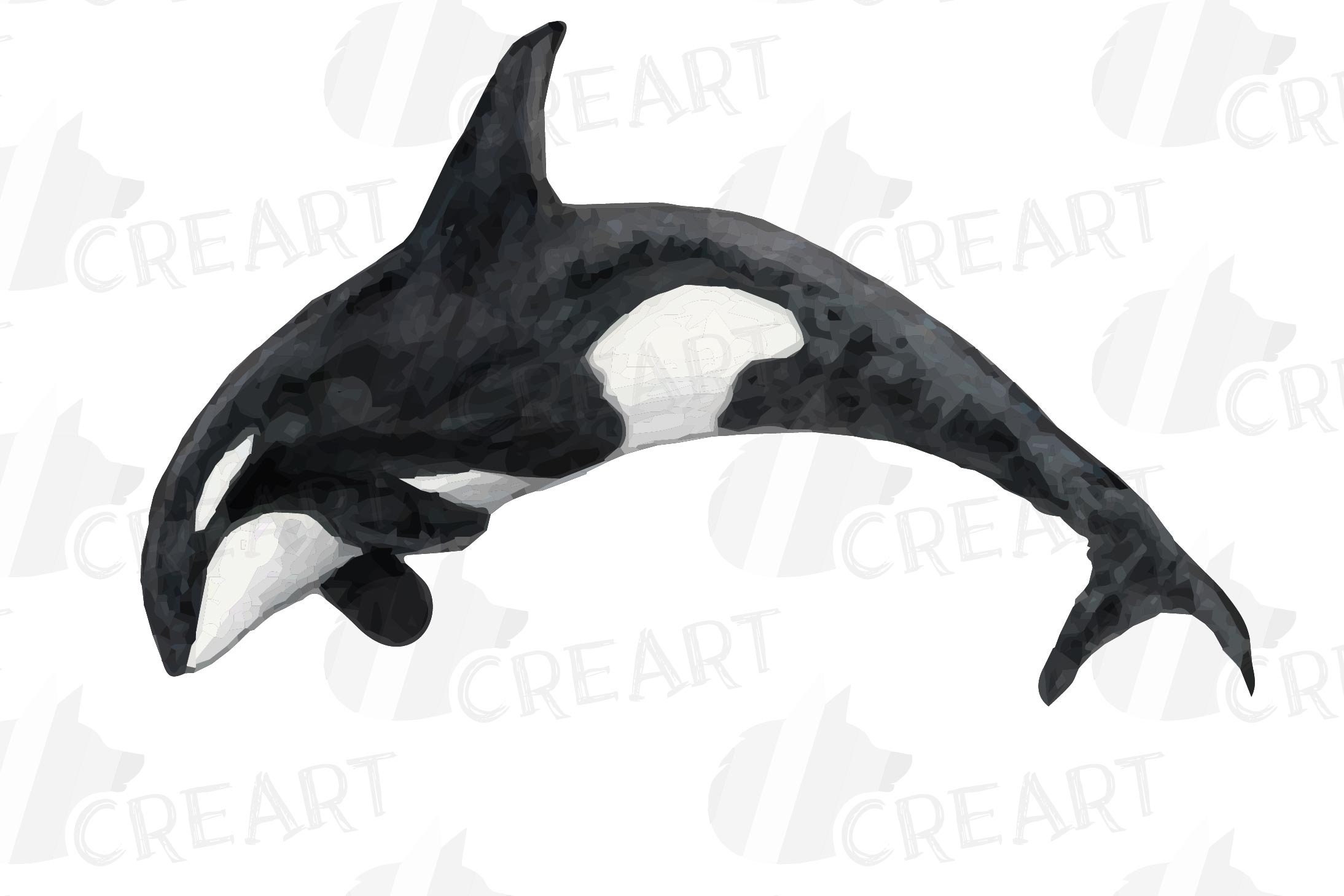 Orca Family Watercolor Clip Art Pack, Killer Whales Decoration ...