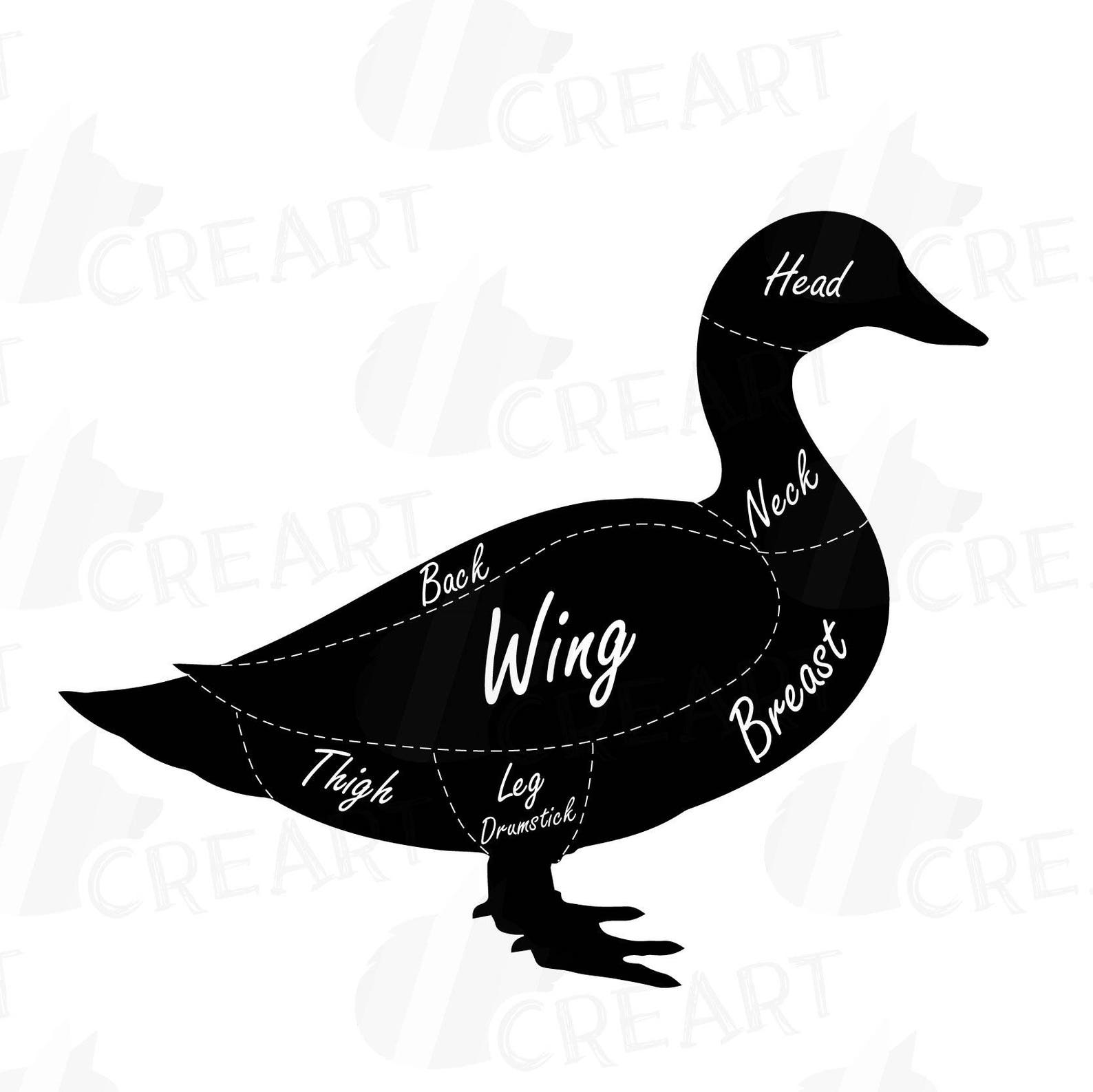 Butcher Duck Diagram Clip Art Digital Duck Chart Duck Cuts | Etsy