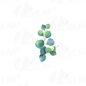 Eucalyptus Leaves and Branches Watercolor Wedding Clip Art. Eucalyptus ...