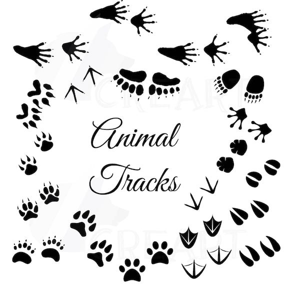 Animal Tracks Clipart