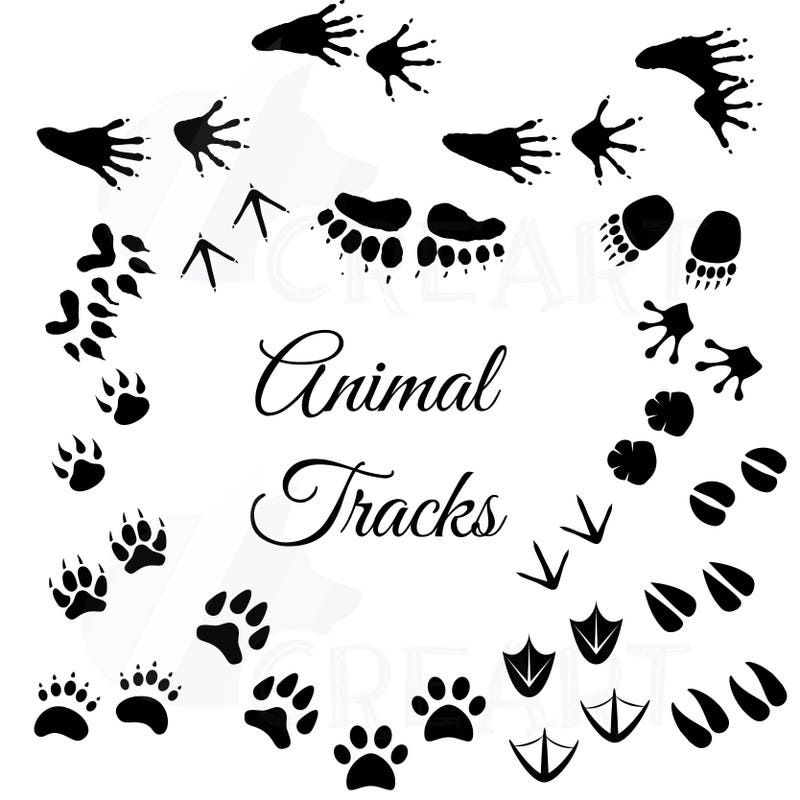 Animal Tracks Svg - Etsy