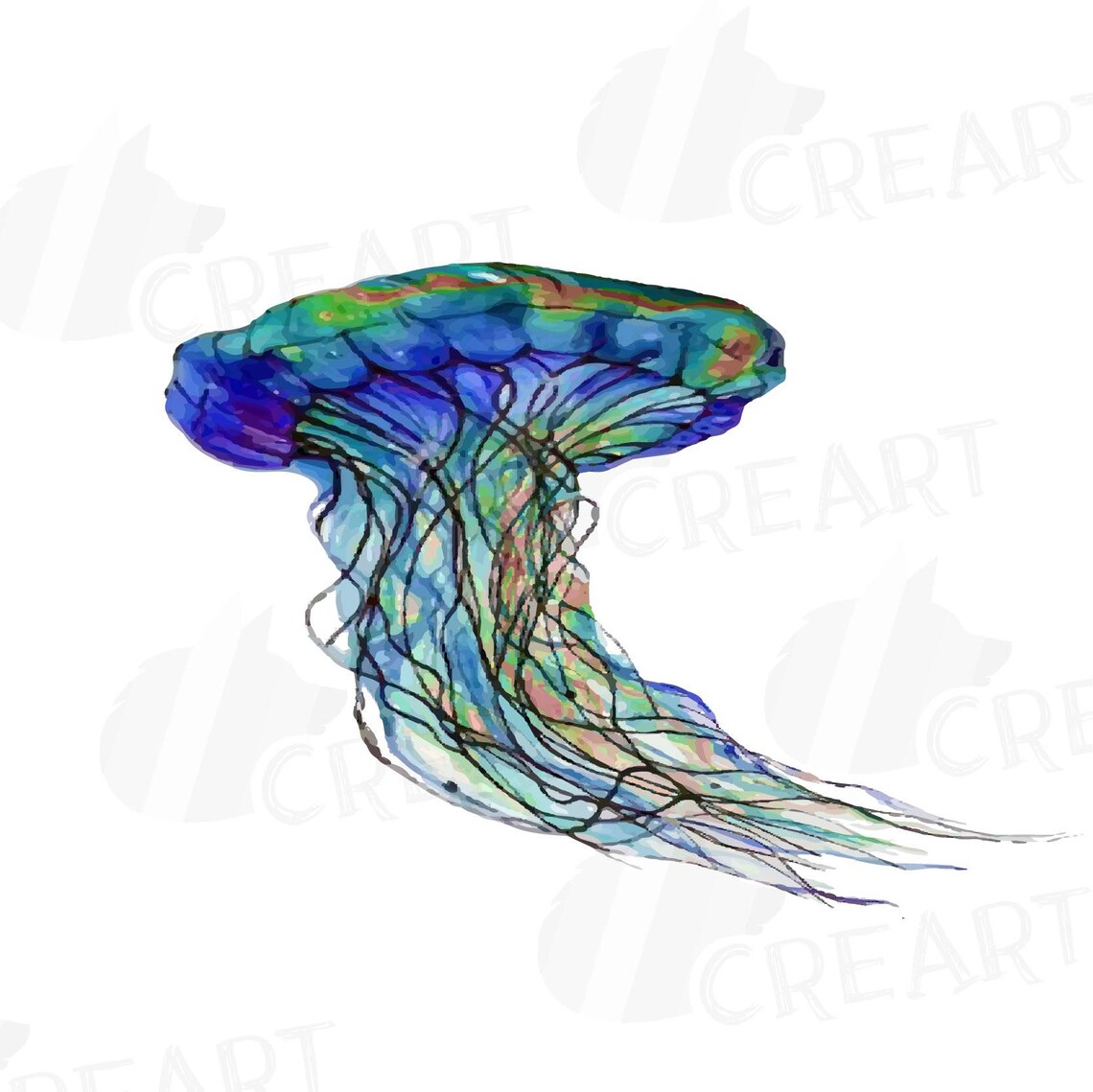 Jellyfish Watercolor Clip Art Pack Tropical Jellyfish | Etsy