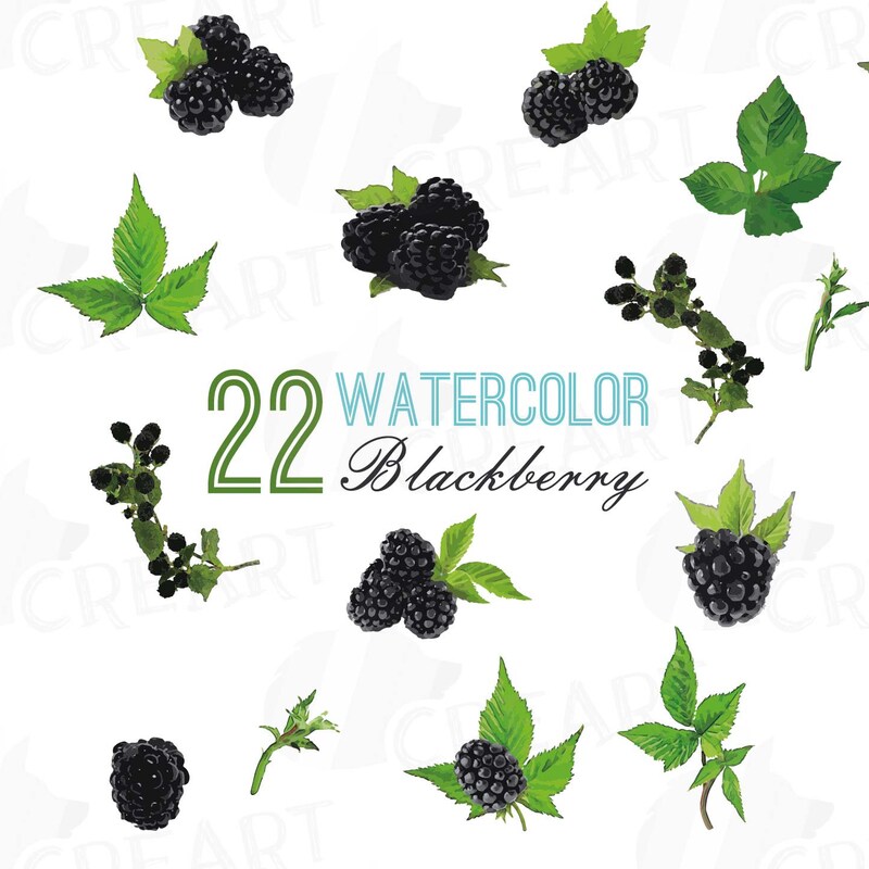 Blackberry Clip Art - Etsy