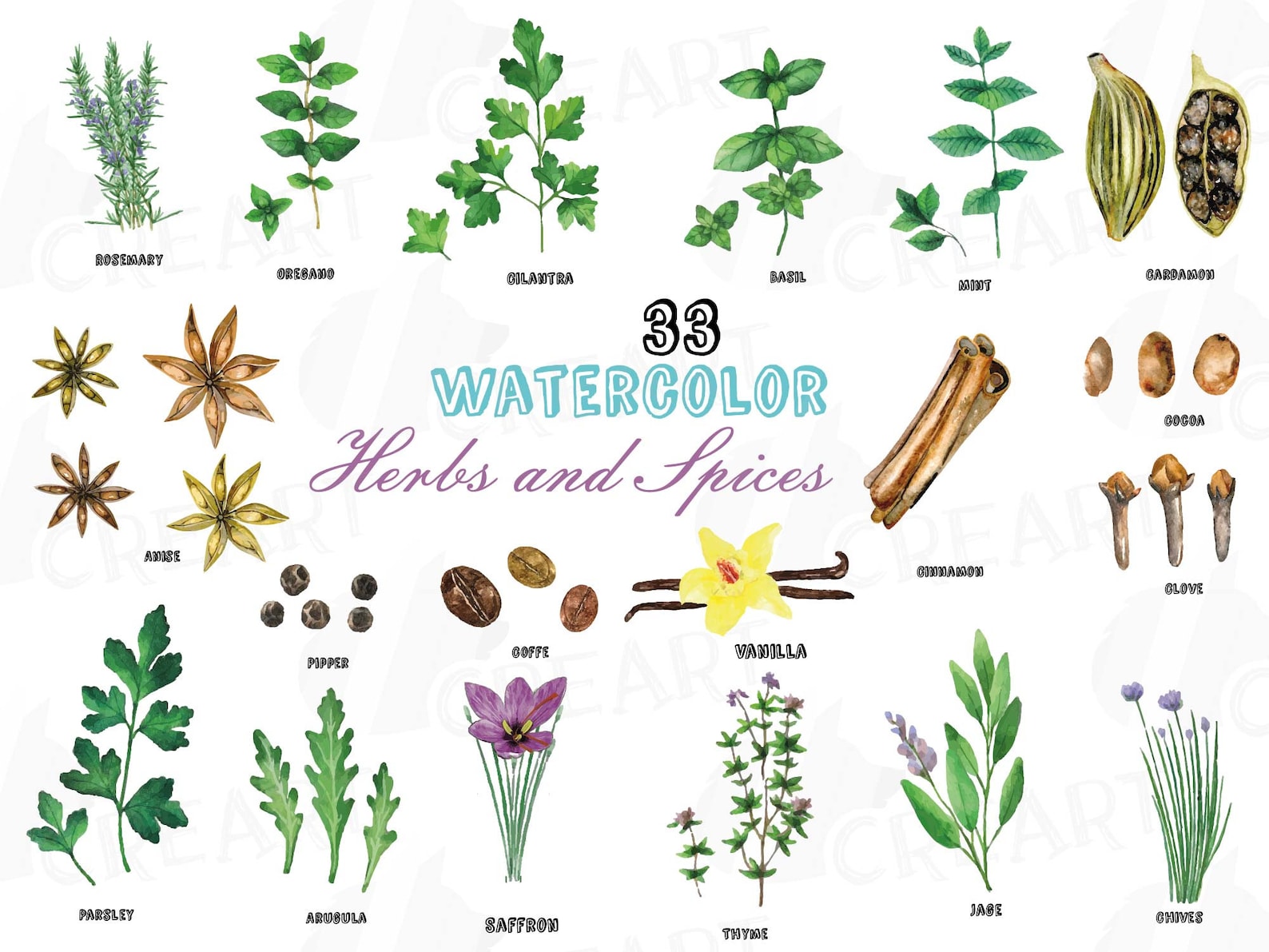 Herbs and Spices Clip Art Pack Watercolor Herbs and Spices - Etsy