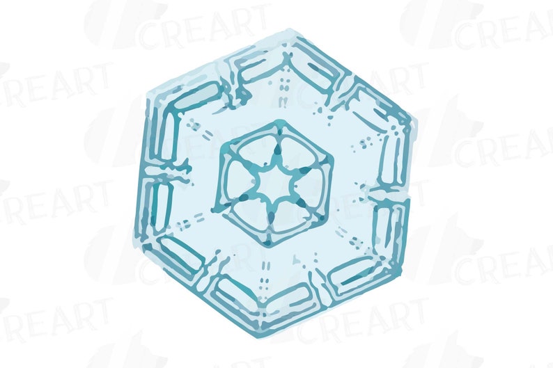 Watercolor Snowflakes Clip Art Hand Painted Snow Crystals | Etsy