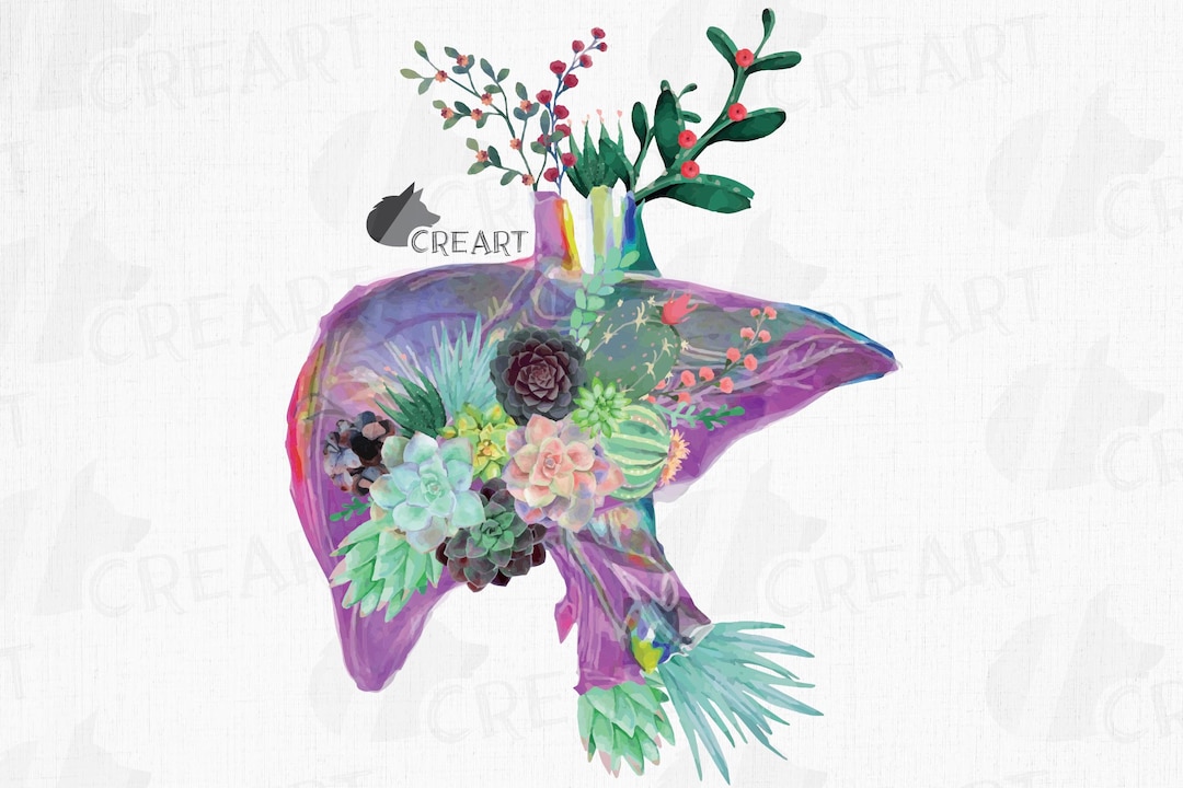 Succulent and Cactus Floral Anatomical Liver Decor Design. Floral Human ...