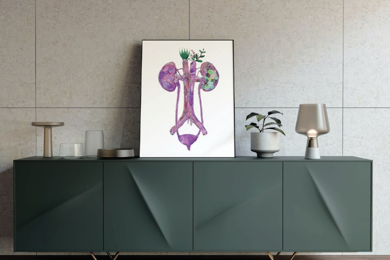 Watercolor Purple Anatomical Urinary Tract System With | Etsy