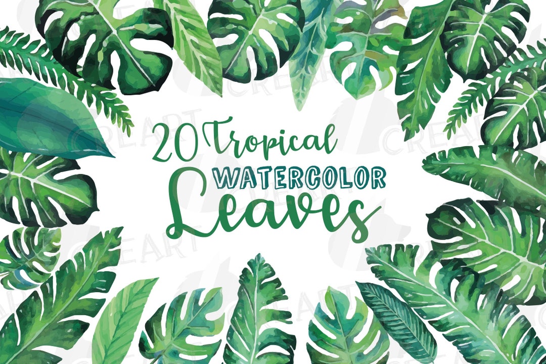 Tropical Watercolor Decoration Green Leaves Clip Art Pack. Tropical ...