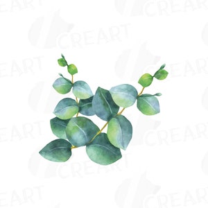 Eucalyptus Leaves and Branches Watercolor Wedding Clip Art. Eucalyptus ...