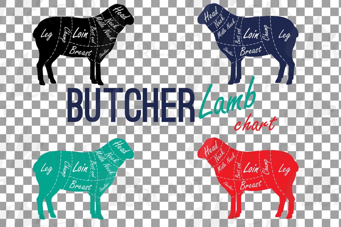 Butcher Lamb Meat Cut Diagram Clip Art. Digital Sheep Chart - Etsy