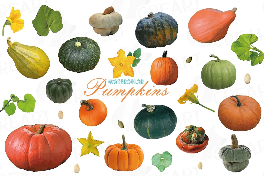Watercolor Pumpkin Decor Clip Art Pack. Printable Halloween and ...