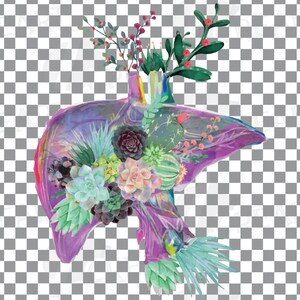 Succulent and Cactus Floral Anatomical Liver Decor Design. Floral Human ...