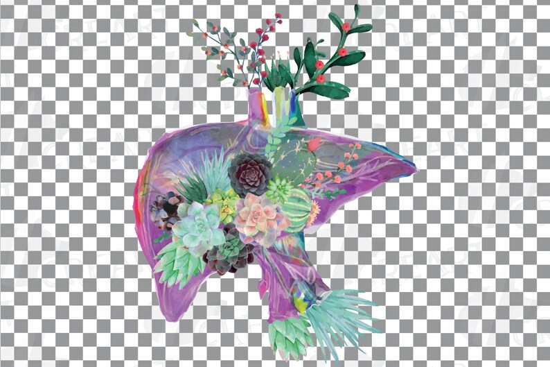 Floral Liver Anatomy Art: Succulent Cactus Decor (digital Download) - Etsy
