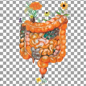 Prairie Flowers Anatomical Intestines Design. Watercolor Floral Human ...