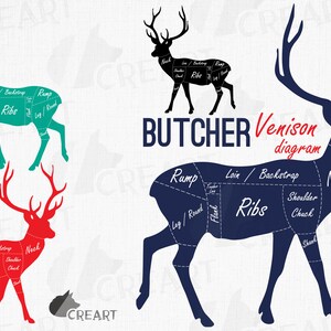 Venison Butcher Chart: Deer Meat Cuts Diagram (printable) - Etsy