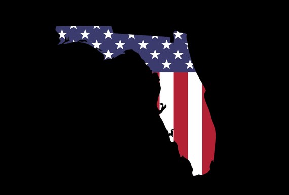 Silueta De La Bandera De Florida Bandera De Tampa Ciudades De Estados