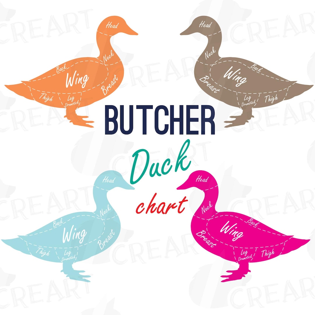 Butcher Duck Diagram Clip Art Digital Duck Chart Duck Cuts - Etsy
