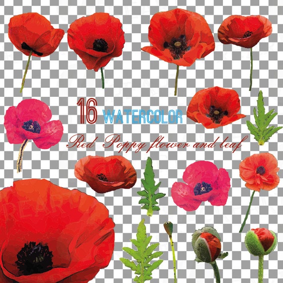 Red Poppy Flower Clip Art