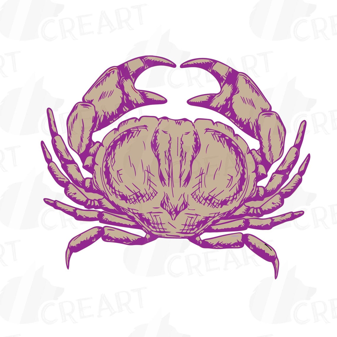 Crabs clip art pack tropical crab scratch. sea crabs PNG | Etsy