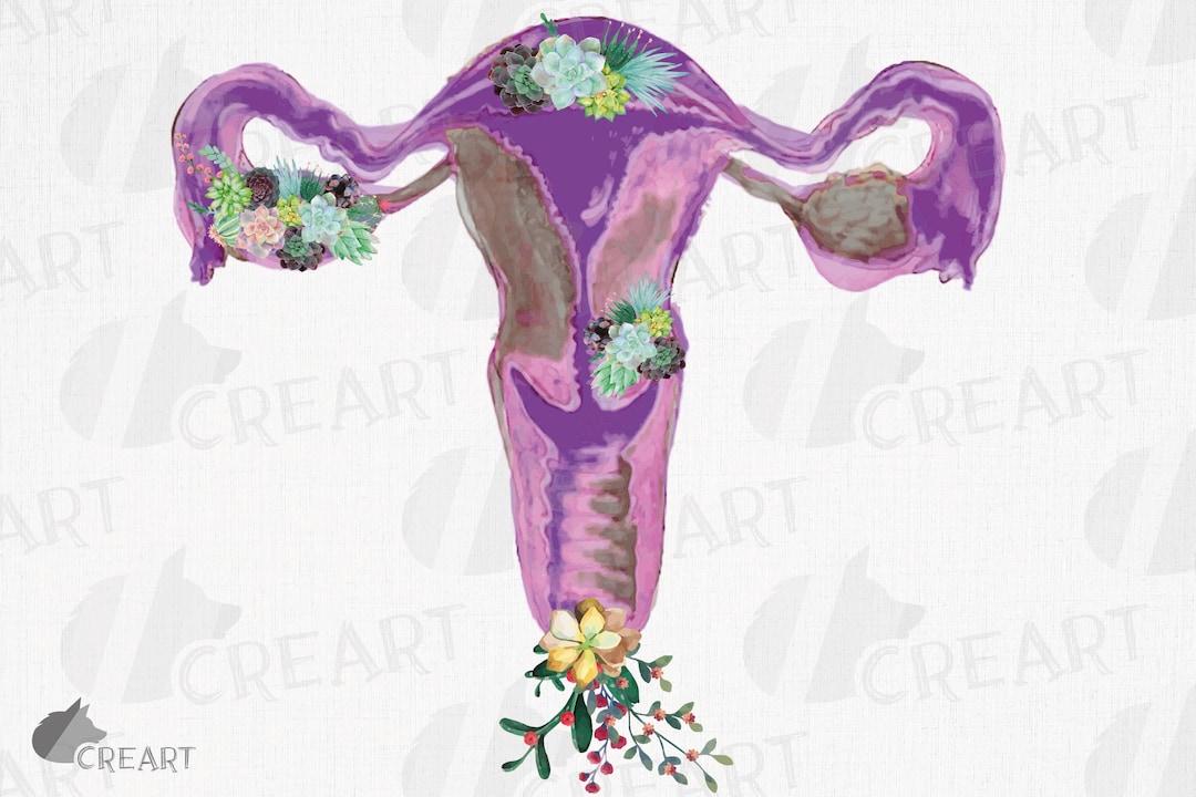 Watercolor Succulent Floral Uterus. Printable Flower Woman Reproductive ...