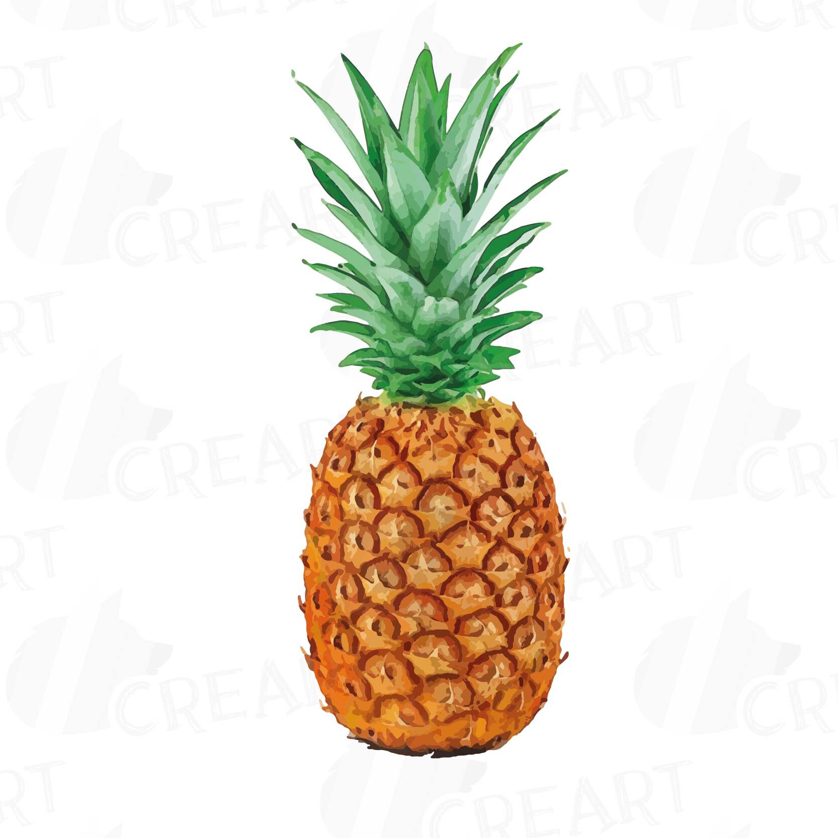 Watercolor Pineapple clip art pack watercolor ananas clip art | Etsy