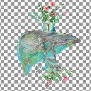 Floral Anatomical Liver Decor Design. Floral Human Liver Gift Art ...