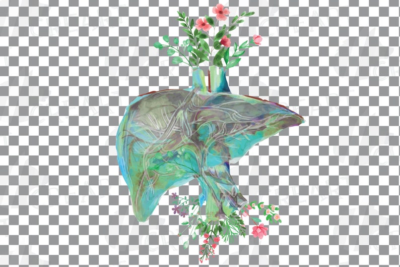 Floral Anatomical Liver Decor Design. Floral Human Liver Gift | Etsy