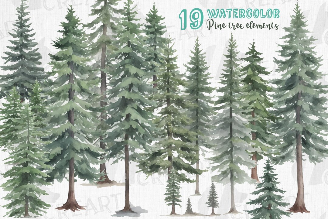 Watercolor Pine Tree Clipart: Christmas Graphics, Evergreen Vector ...