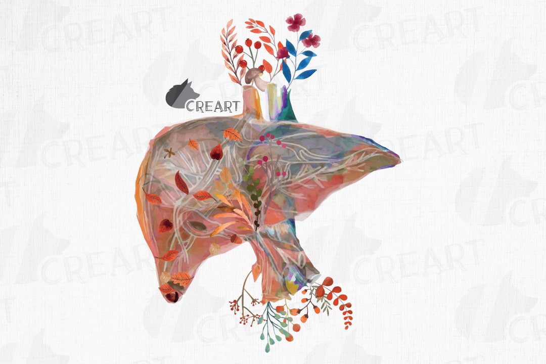 Autumn Blooming Liver Decor Design. Floral Human Liver Gift Art ...