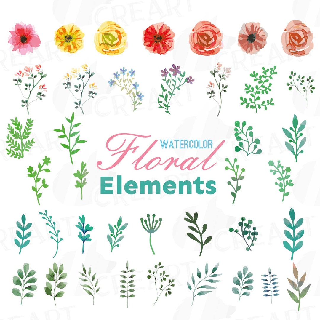 Floral Elements Watercolor Clip Art Pack, 39 Individual Floral Elements ...