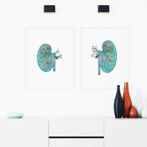 Floral Anatomical Kidneys Decor Design. Floral Human Kidney Clip Art ...