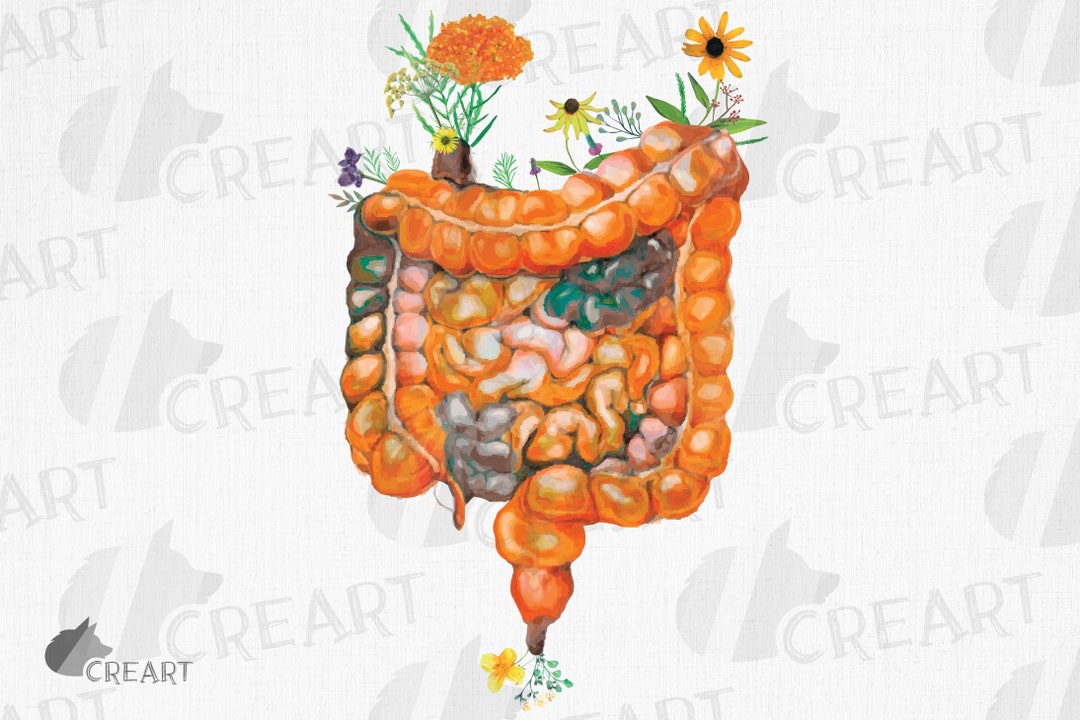 Prairie Flowers Anatomical Intestines Design. Watercolor Floral Human ...