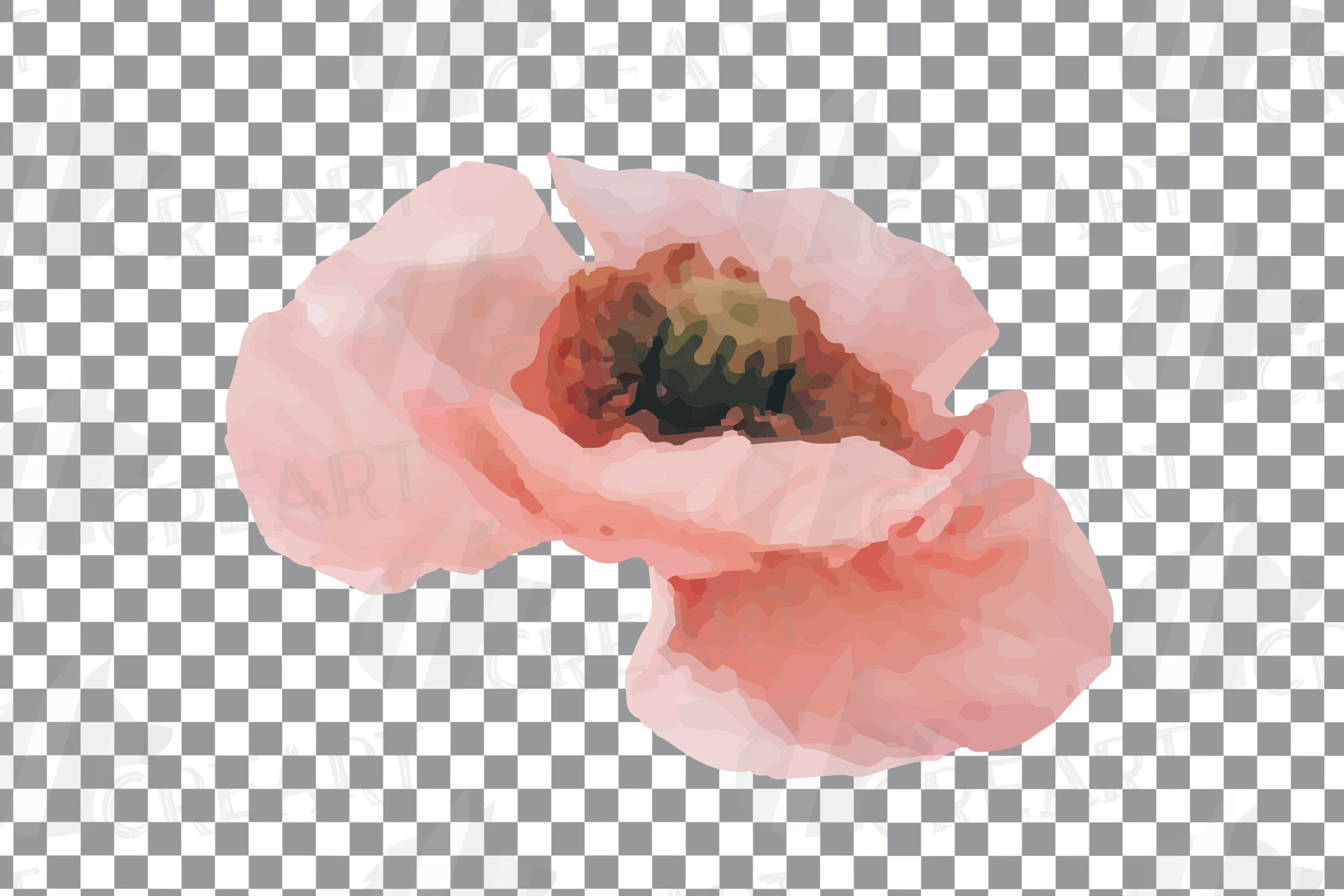 Watercolor Bridal Flowers on Summer Berry Colors Clip Art. - Etsy