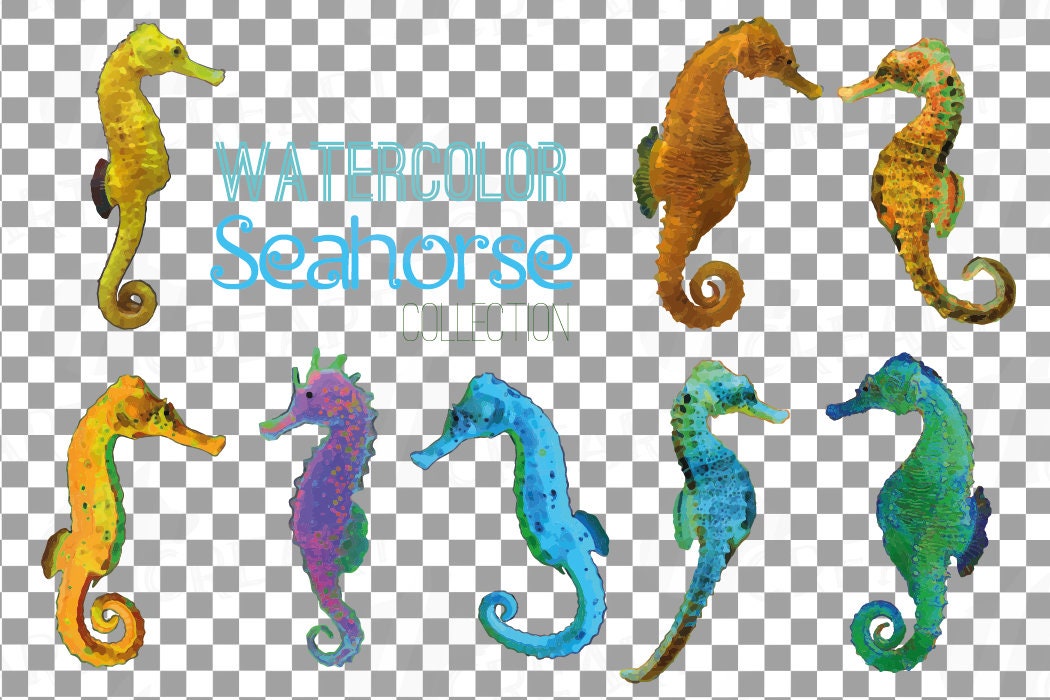 Seahorse Watercolor Clip Art Pack, Colorful Seahorses Tropical ...