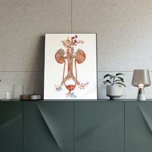 Blühendes anatomisches Harnwege System Herbst Grafik Design. Floral ...