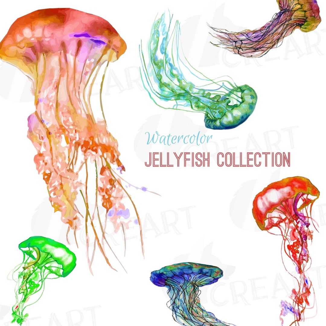 Watercolor Jellyfish Clipart: Tropical PNG, SVG, Vector Files (digital ...