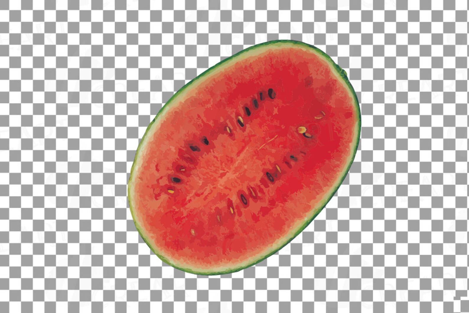 Watercolor Watermelon Clip Art Pack Watermelon Plant and - Etsy