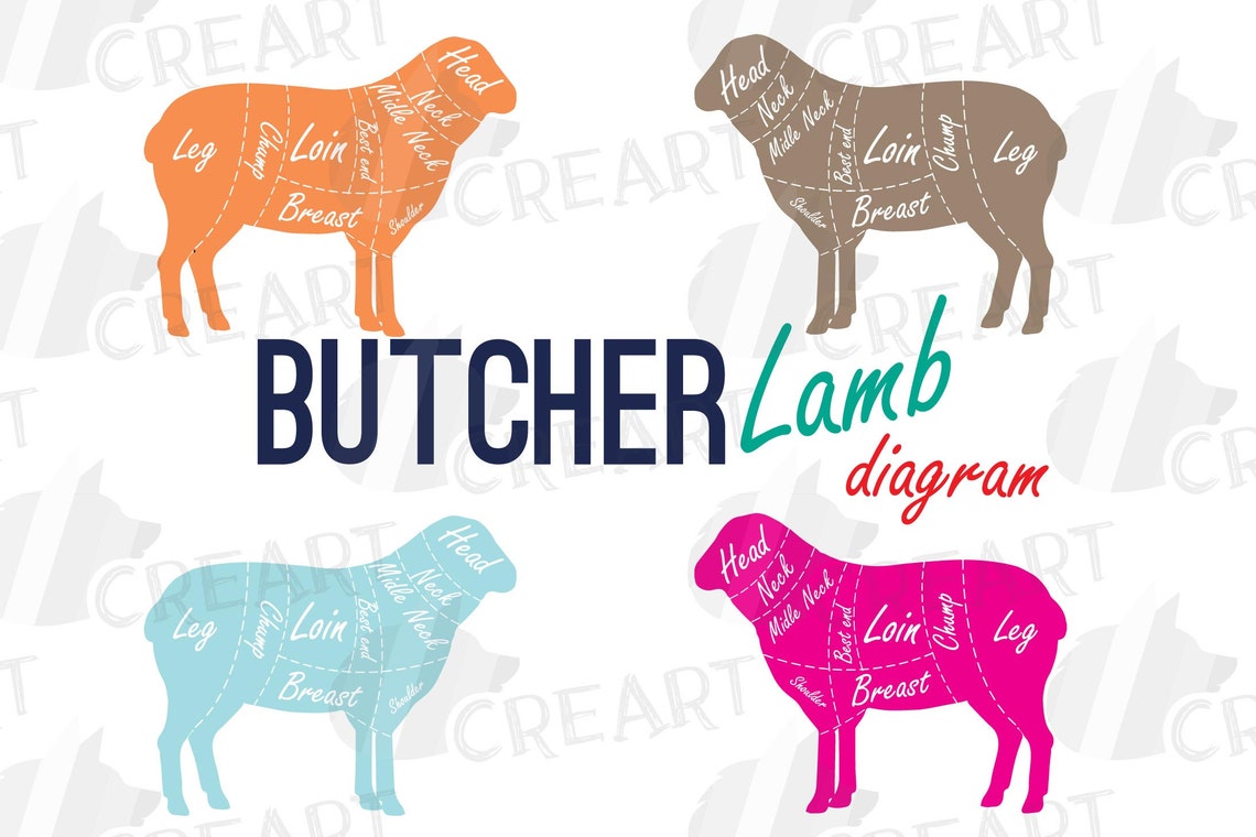 Butcher lamb meat cut diagram clip art. Digital sheep chart | Etsy