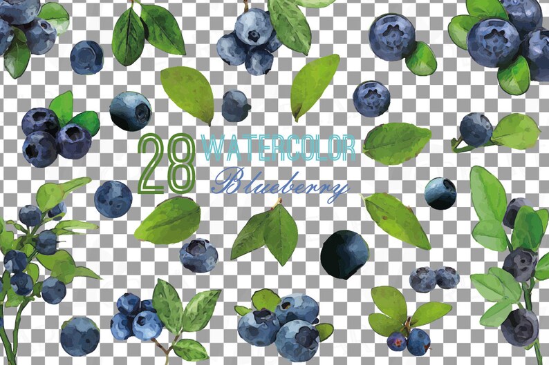 Watercolor Blueberry Branch and Leaves Clip Art Pack - Etsy Canada