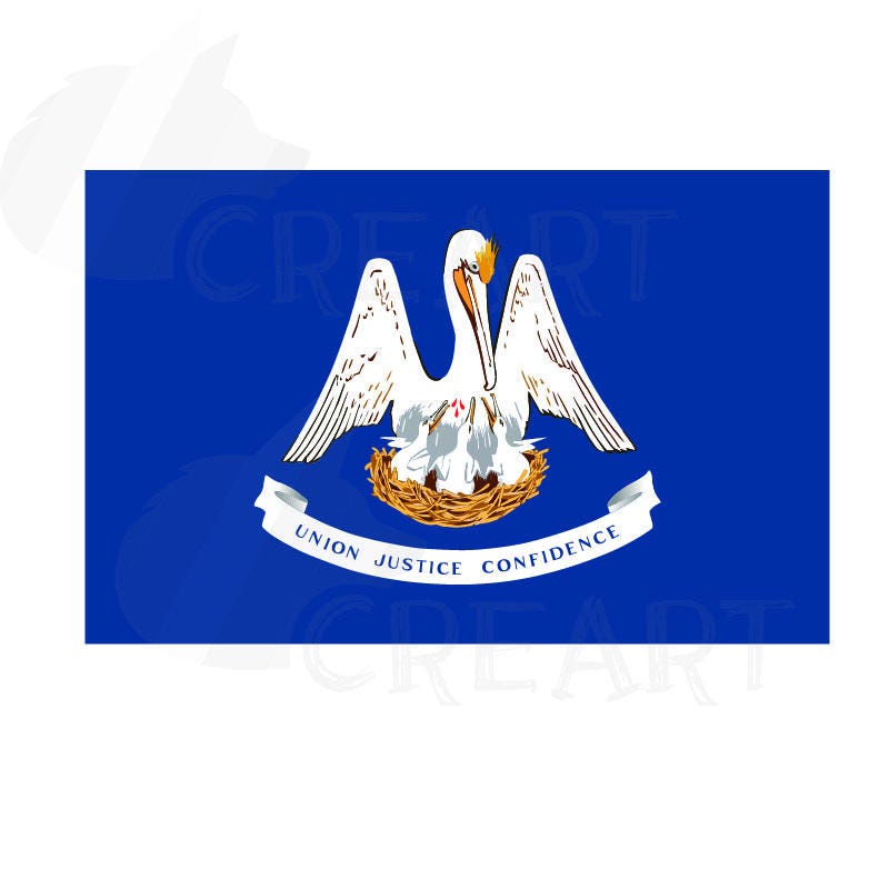 USA Capital and States Flags Collection for Print, 50 US State Flags ...