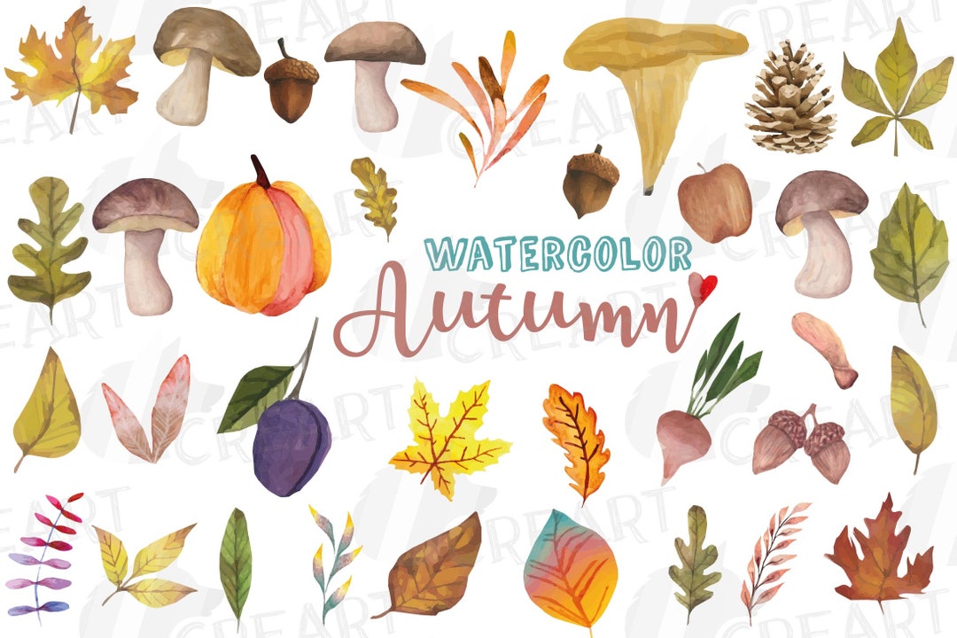 Printable Autumn Watercolor Decor Elements. Leaves, Acorn, Mushroom ...