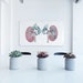 Pink Blush Anatomical Kidneys With Eucalyptus. Floral Human - Etsy