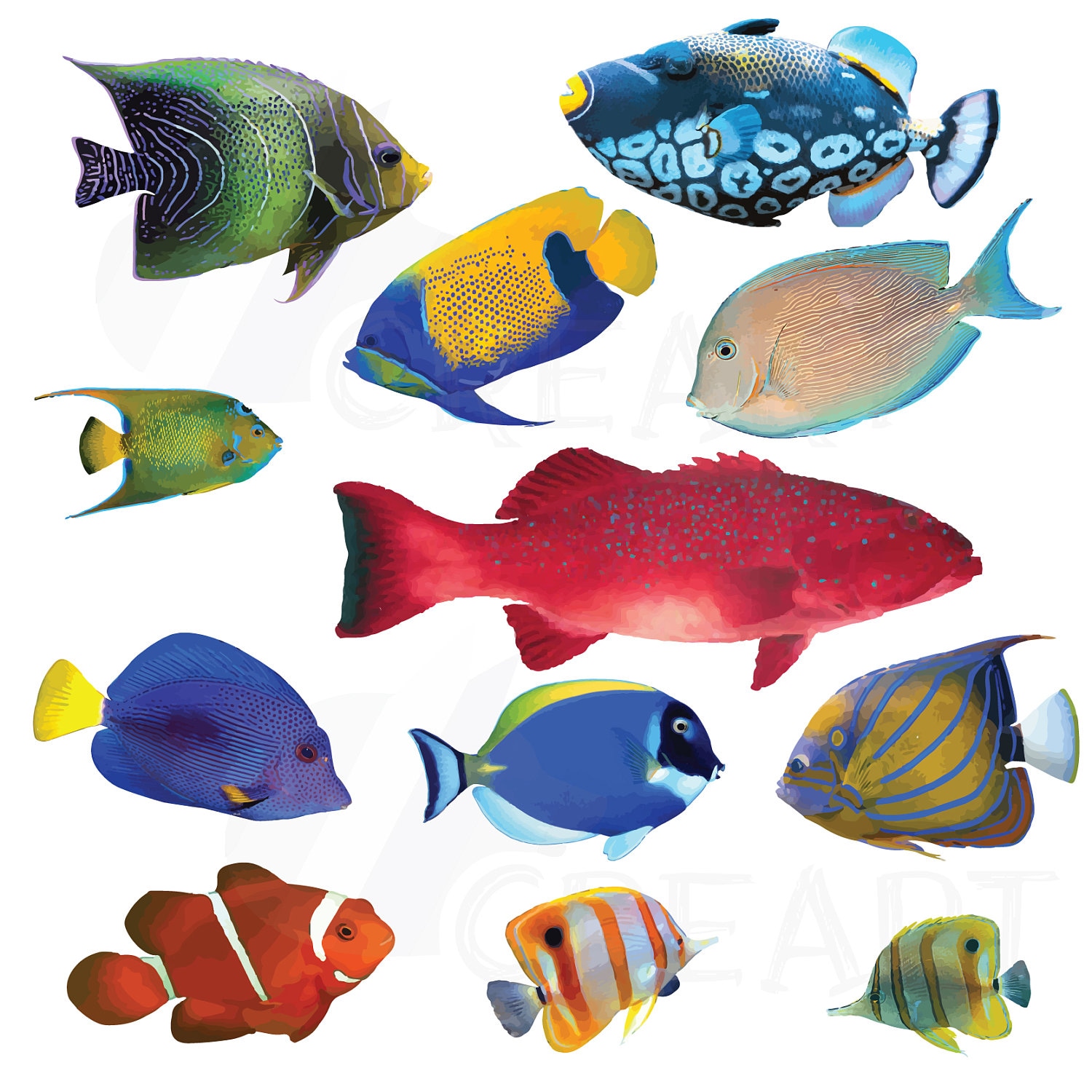Clip Art Tropical Fish