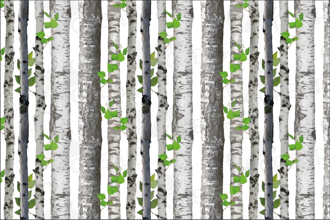Seamless Birch Tree Vector Watercolor Pattern. Birch Trees Wood Digital ...