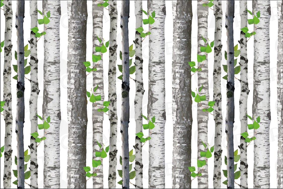 Seamless Birch Tree Vector Watercolor Pattern. Birch Trees - Etsy