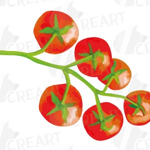 Watercolor Vegetables Clip Art Pack, Green and Colorful Vegetables ...