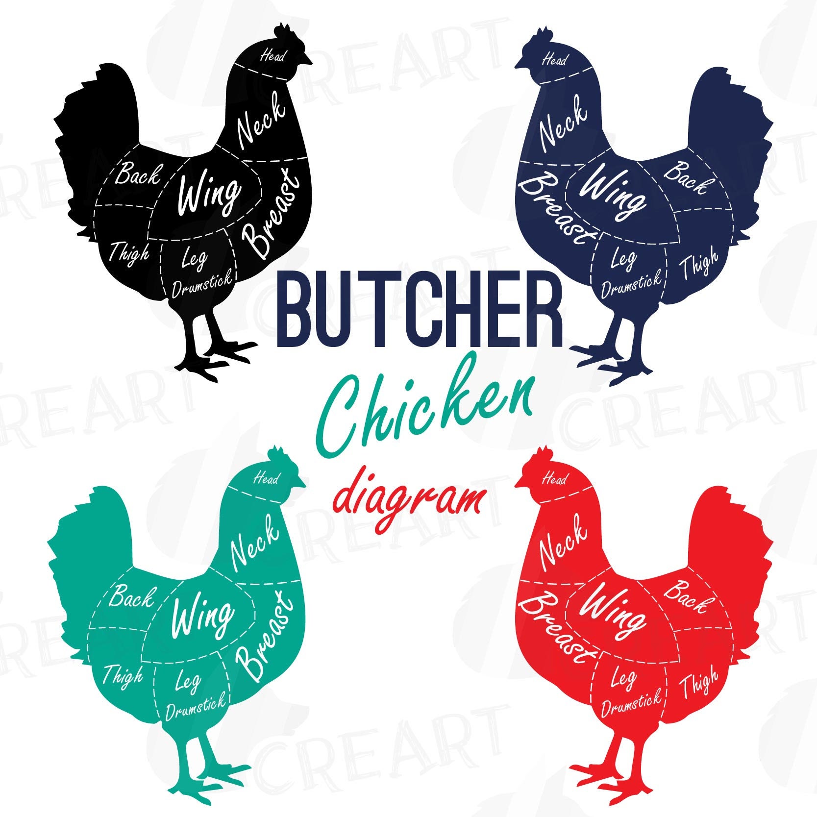Butcher chicken diagram clip art digital chicken chart | Etsy