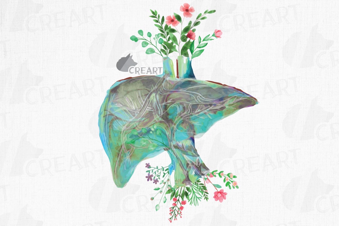 Floral Anatomical Liver Decor Design. Floral Human Liver Gift Art ...