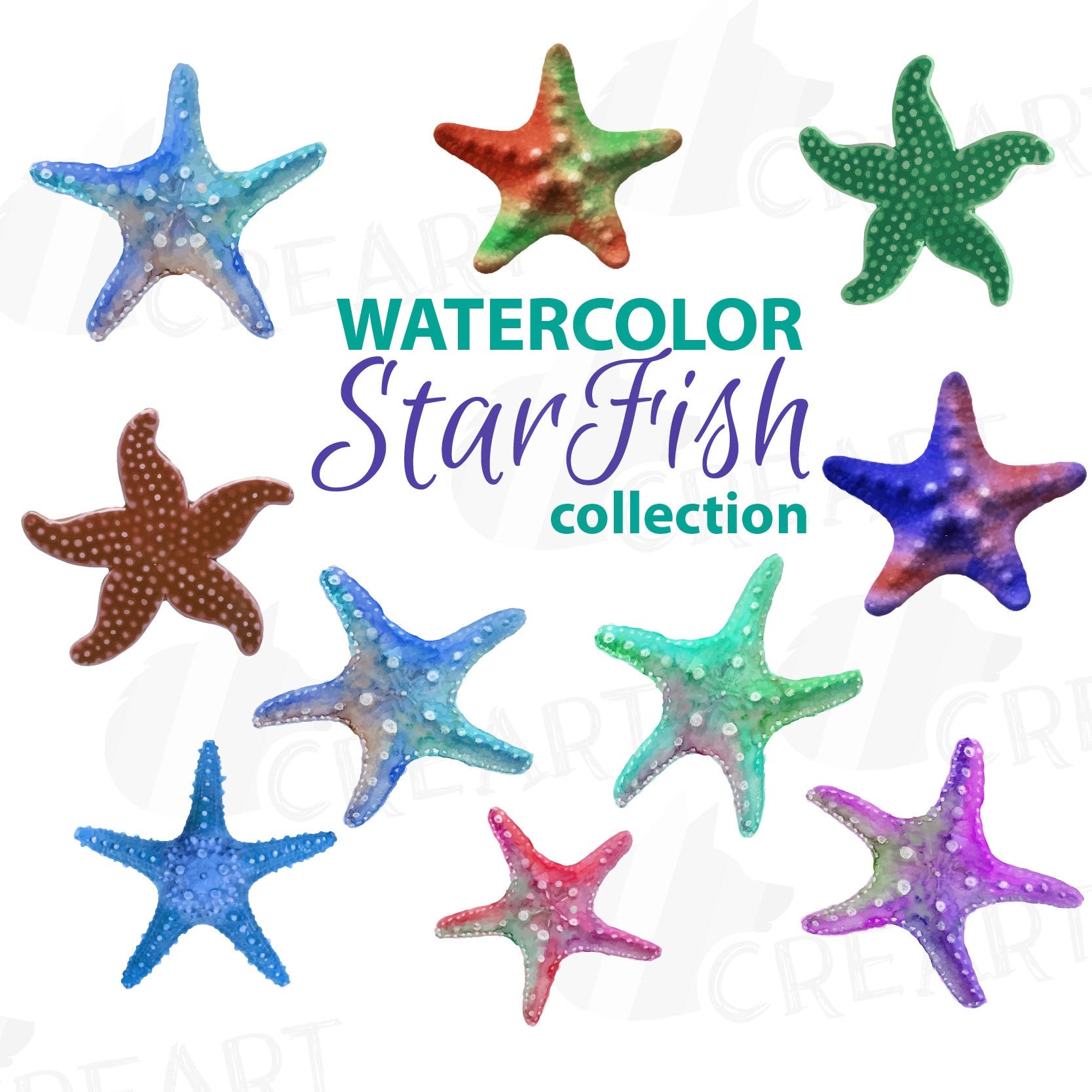 Starfish watercolor clip art pack tropical seastar | Etsy